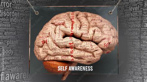 Self Awareness Anatomy Its Causes And Effects Projected On A Human