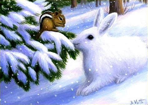 lapins lièvres en peinture et illustrations Bridget Voth Balades