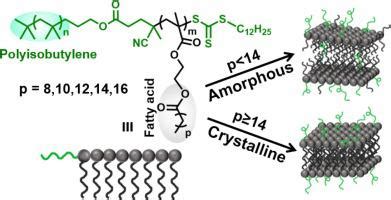含侧链脂肪酸与聚异丁烯链段的嵌段共聚物的结晶度 European Polymer Journal X MOL