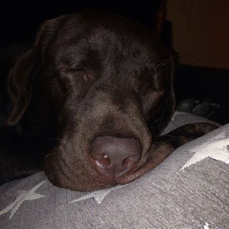 Colas Edward Eddie Added A New Photo Colas Edward Eddie