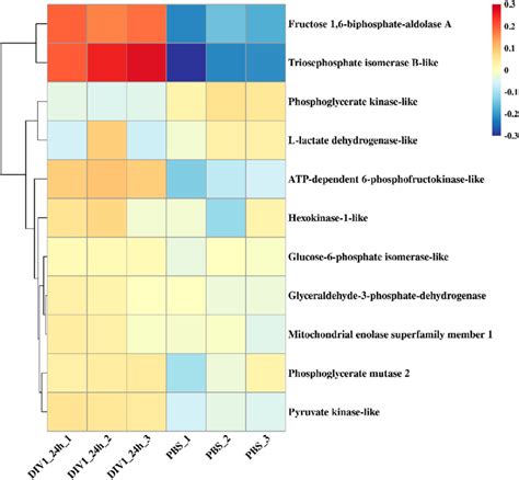 Differential Expression Genes Degs In Glycolysisgluconeogenesis