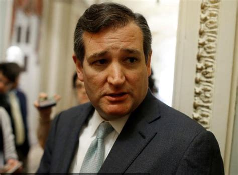 Scoring The Cruz Amendment Allsides