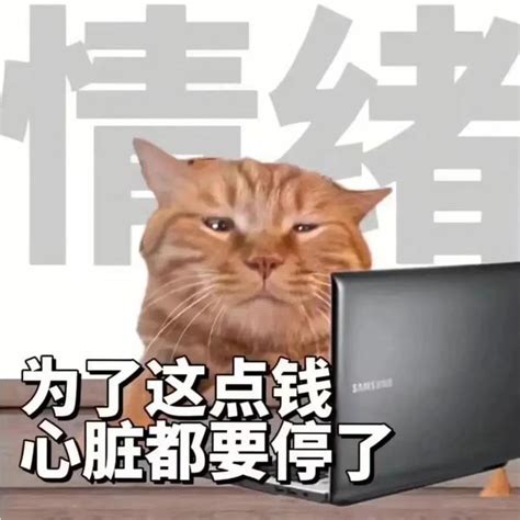 打工表情包为了这点钱 心脏都要停了 知乎