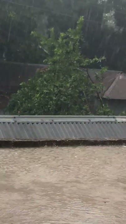 আলহামদুলিল্লাহ্ অনেক দিন পর রহমতের বৃষ্টি 🌨️🌦️🌦️🌦️বৃষ্টি Rainydays