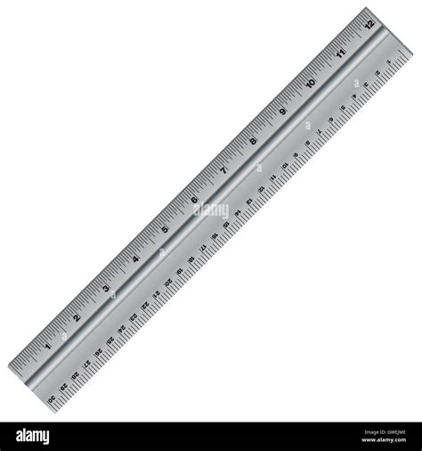 Ruler Tool Vector White Background Black Centimeter Education