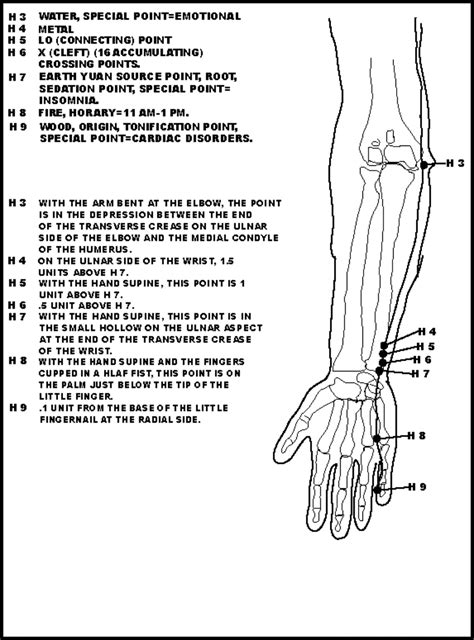Meridian Illustrations