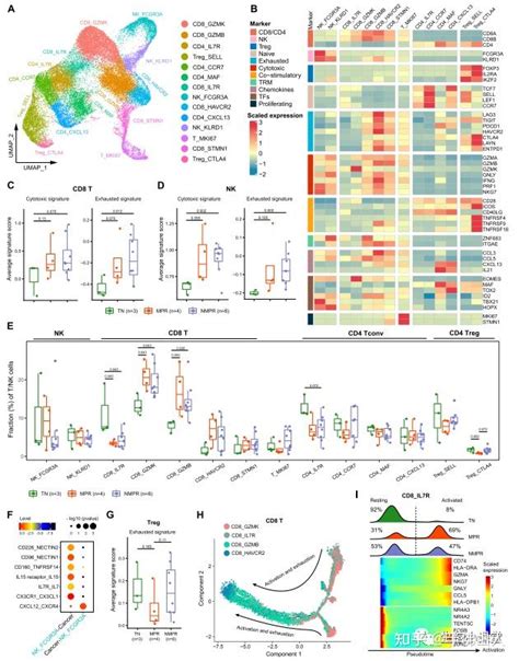 10 单细胞生信文章，探索肿瘤微环境在免疫治疗前后及不同疗效之间的差异，可扩展推广到自己的研究中！ 知乎