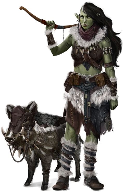 De 25 Bedste Idéer Inden For Dnd Druid På Pinterest World Of