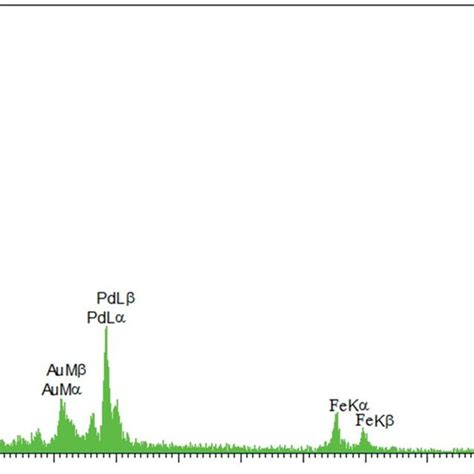 Pxrd Patterns Of Fe 3 O 4 Cell Fe 3 O 4 And The Pd Cai Cell Fe 3 O 4