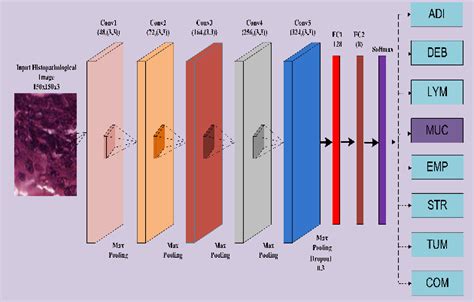 figure 1 from an efficient convolutional neural network for
