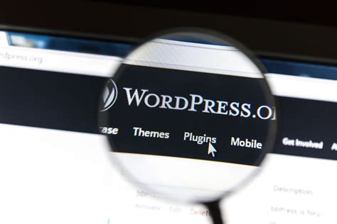 New Lightroom Plug In Uploads Directly To Worpdress Digital Trends