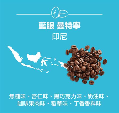 印尼 蘇門答臘 藍眼 曼特寧 G1 Tpmedium Dark Cofe2