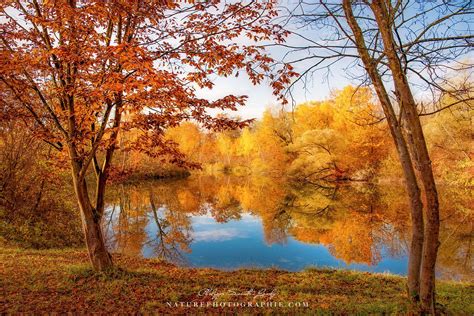 Une belle journée d automne pour faire de la photo