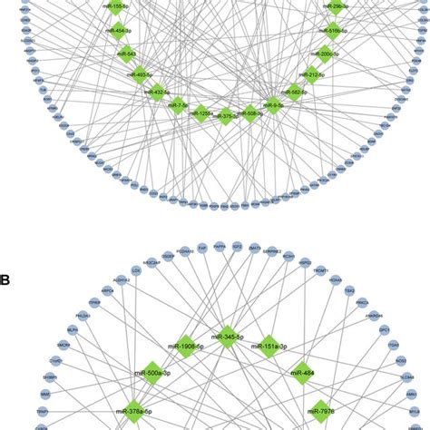 Chord Diagram Of Kegg Pathway Analyses For Candidate Genes A