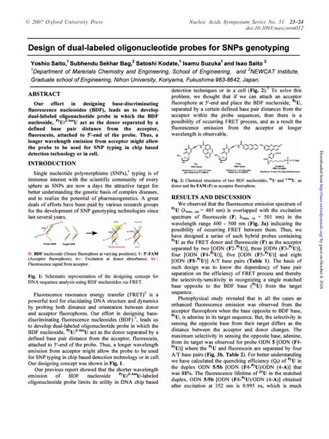 Pdf Design Of Dual Labeled Oligonucleotide Probes For Snps Genotyping