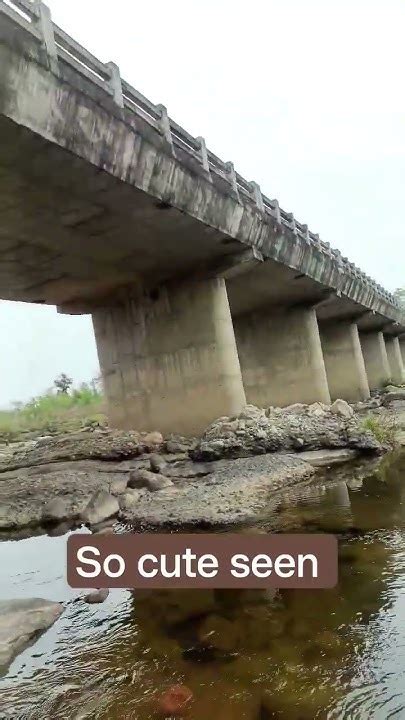 So Cute Seen Youtube