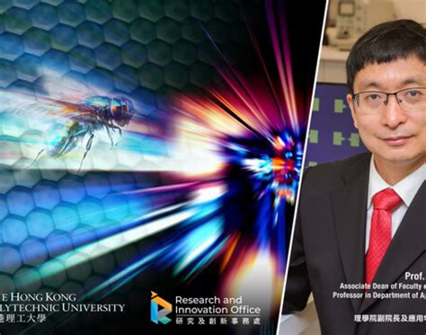 The Hong Kong Polytechnic University Researchers Develop Optoelectronic Graded Neurons For