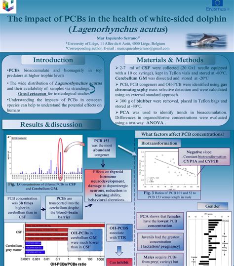 A comparison of ΣOH PCB ΣPCB concentration ratios in different brain Download Scientific