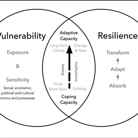 Linking Vulnerability And Resilience Concepts Through Coping And