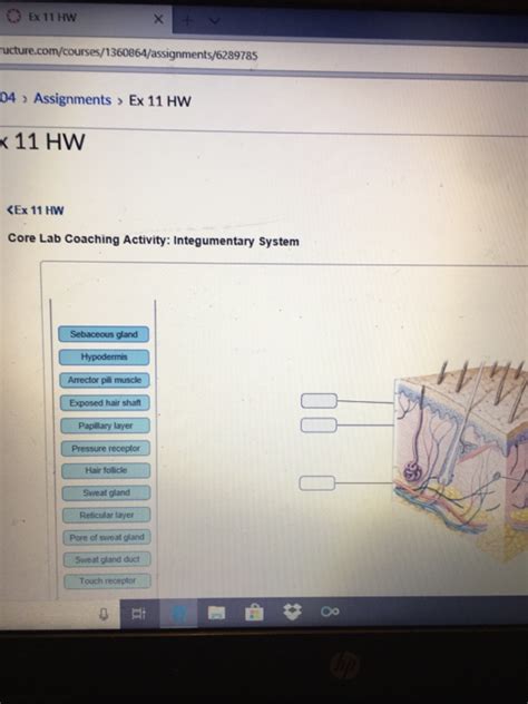 Solved Ex 11 Hw Chegg Com