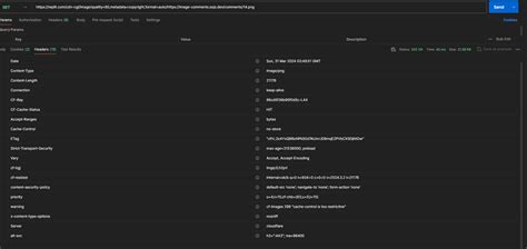 Node Js Cloudflare Not Respecting Cache Control Stack Overflow