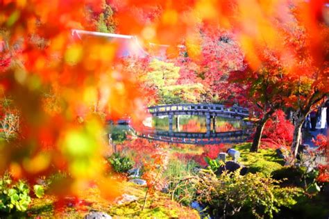 일본 Visit Japan Web 비짓재팬웹 등록 방법 쉽게 따라하기 네이버 블로그