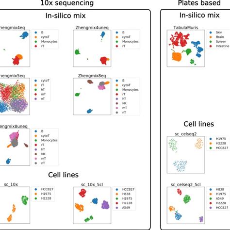 Umap Representation Of The Ten Scrna Seq Datasets Run After Processing