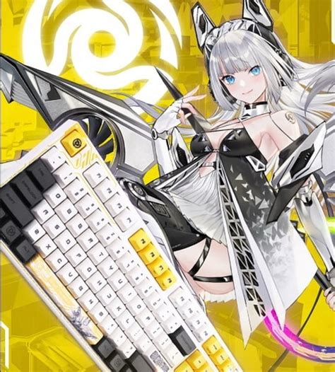 索泰 全球一线显卡品牌 Zotac