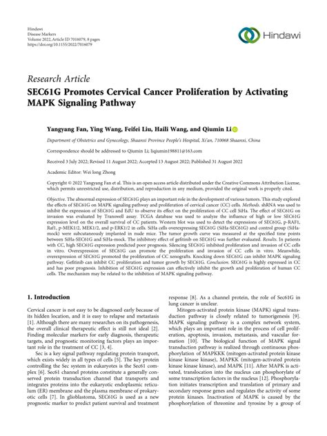 Pdf Sec61g Promotes Cervical Cancer Proliferation By Activating Mapk