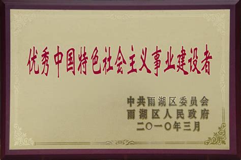 玉丰荣誉湖南玉丰真空科学技术有限公司