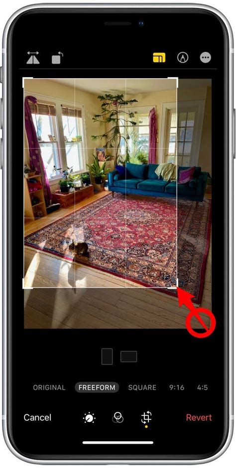 How To Resize Photos On Iphone By Cropping To A Specific Ratio