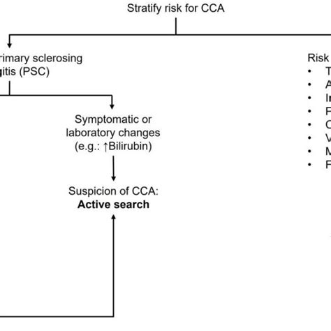 A 58 Year Old Man With Long Lasting Primary Sclerosing Cholangitis And