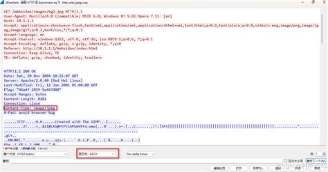 cyberchef配合wireshark提取并解析 tls流量数据包中的文件 cyberchef 从入门到精通教程 csdn专栏
