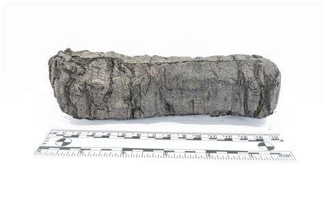 Ai And Scientists Unite To Decipher Old Scrolls Charred By The Vesuvius