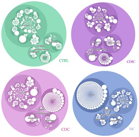 Modern Metaproteomics A Unique Tool To Characterize The Active Microbiome In Health And