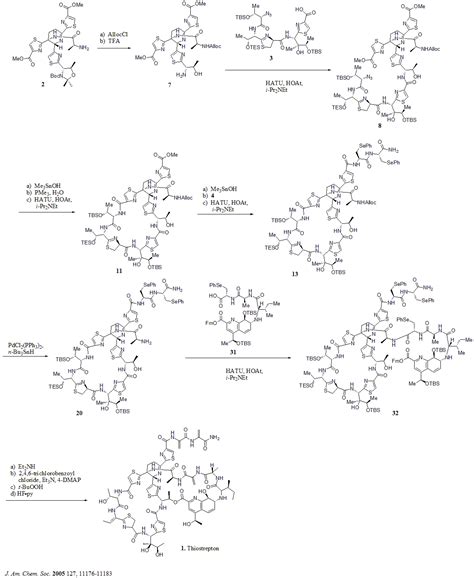 Rna Ribosomal 23s 23s Ribosomal Rna