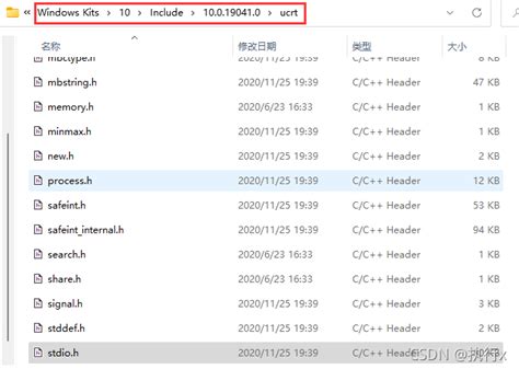 【vs2019】c c 内存泄漏检测工具：visual leak detector超详细安装教程（for windows） windows
