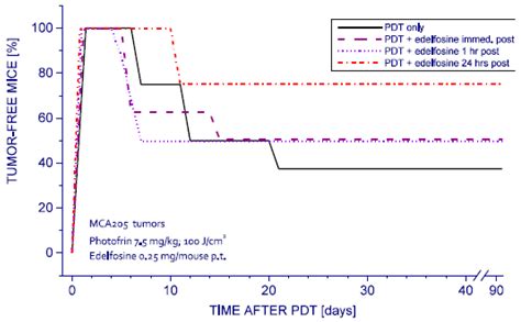Pharmaceutics Free Full Text Photodynamic Therapy Supported By