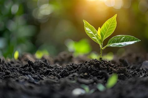 Image Showing Esg Risk Management For Sustainability Corporate