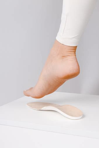 의료 인솔 흰색 배경에 고립 된 정형 외과 깔창 평평한 발과 발 질환의 치료 및 예방 발 관리 깔창 컷어웨이 레이어 깔창 위에