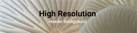 Free High Resolution Header Background Template To Edit Online