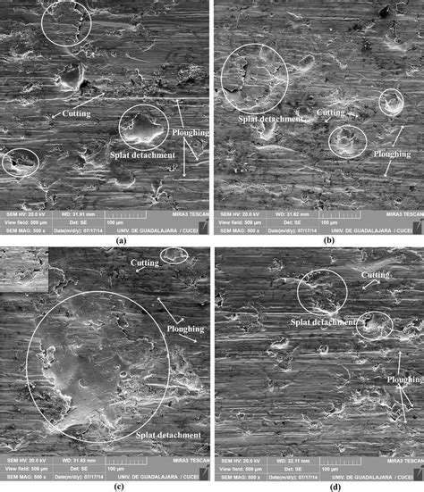 Sem Micrographs Of Wet Abraded Surfaces From Samples A As 30 Lb B