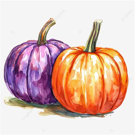 가을 시즌을 위한 주황색과 보라색 호박 수채화 수채화 주황색 호박 보라색 호박 Png 일러스트 및 이미지 에 대한 무료 다운로드 Pngtree