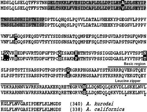Overexpression Of And Rna Interference With The Ccaat Enhancer Binding Protein On Long Term
