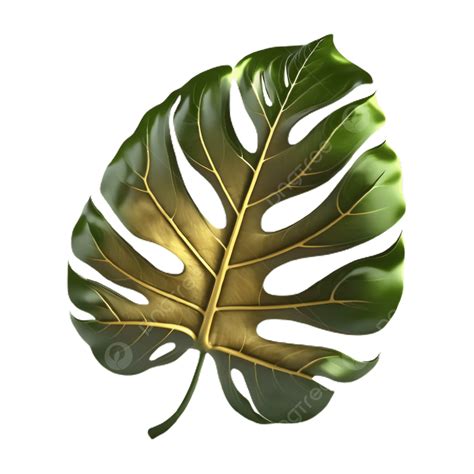 Planta Tropical Deja Ilustración De Dibujos Animados Verde PNG Planta