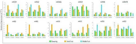 Validation Of Six Known And Six Novel Mirnas By Stem Loop Rt Qpcr In Download Scientific