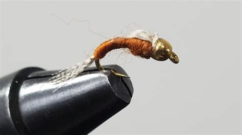 Everything You Need To Know About Baetis Nymph Guide Recommended