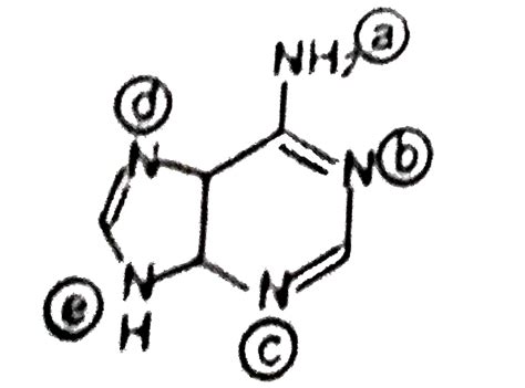 In The Following Compound The Favourable Sites For Protonation Isare