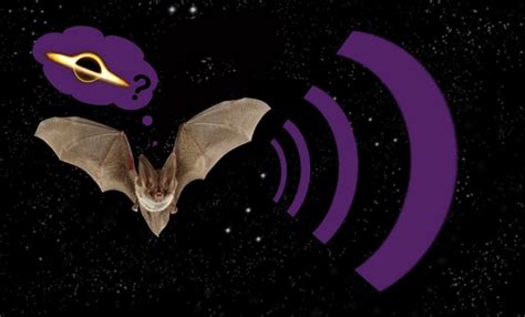 Cosmic Echolocation A New Method To Measure Dark Matter With Gravitational Waves R Physics