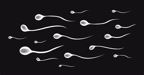 What Is Asthenozoospermia A Comprehensive Guide For You Your Trusted